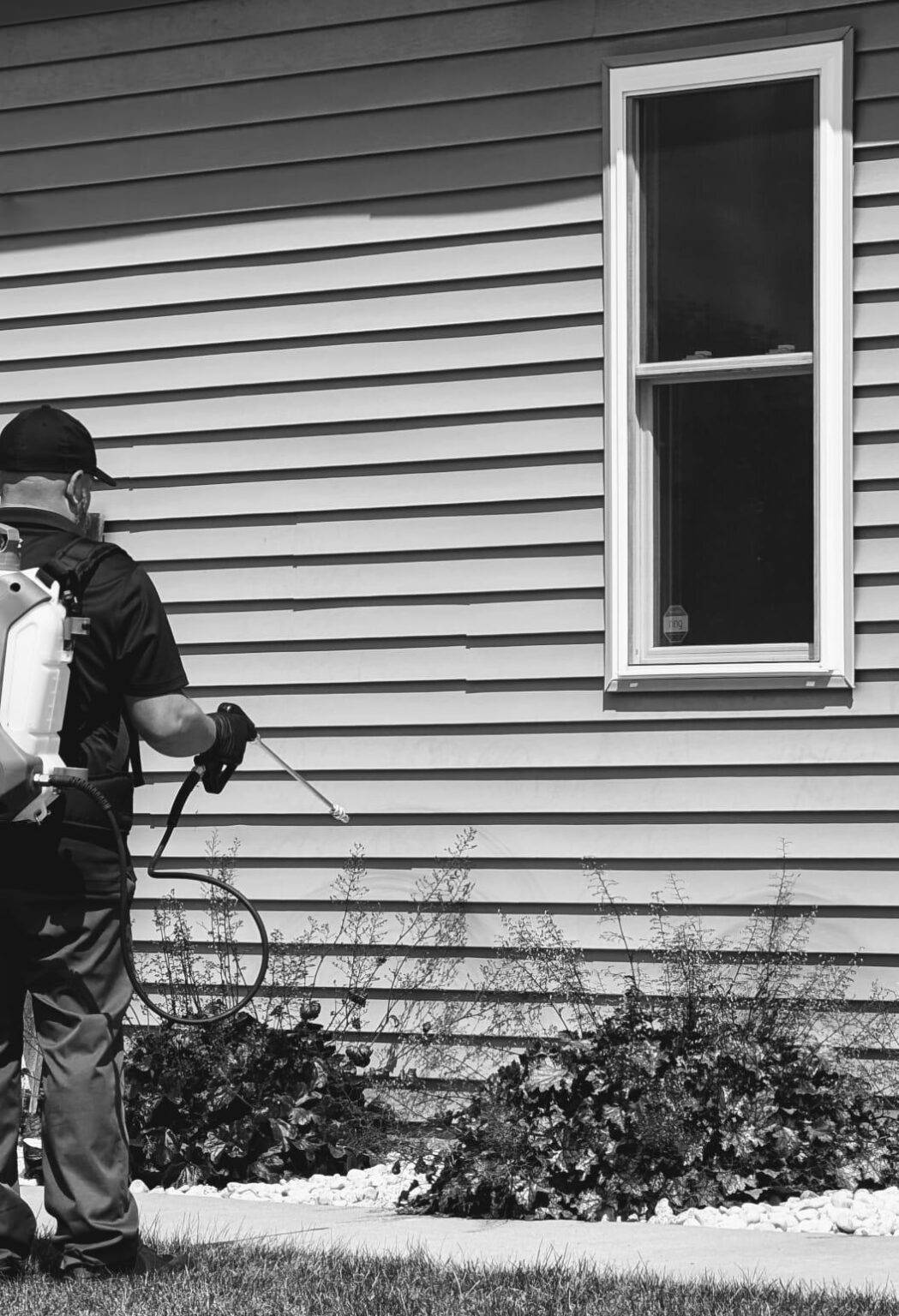 Pest Control | Pest Removal | Exterminator | 1st Choice Pest